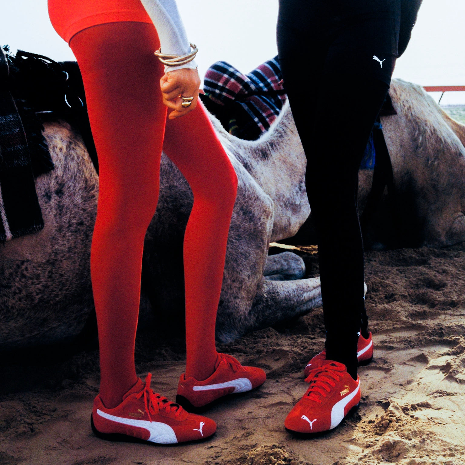 Puma official website store